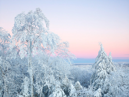 Patrick Ross Photography: Winter in West Virginia, 2010