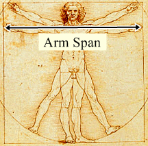 HS2135: The Predictor of Height: Arm Span