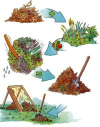 elaboración de compost, siembra de semillas: materiales para elaborar ...