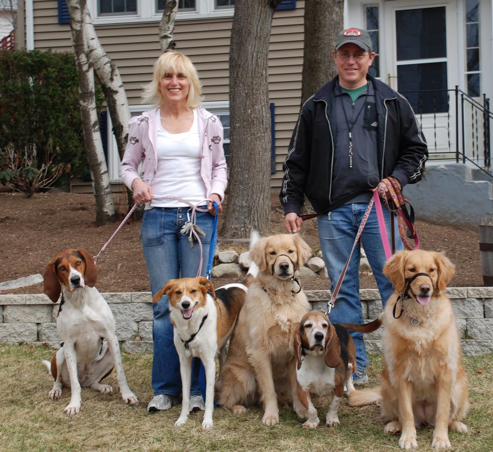 The Teacher's Pets: Our Pet Sitting Service Makes Headlines (Almost)!