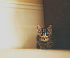 everyone's changing.