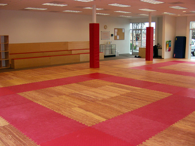 ELITE TAEKWONDO ACADEMY: New Dojang