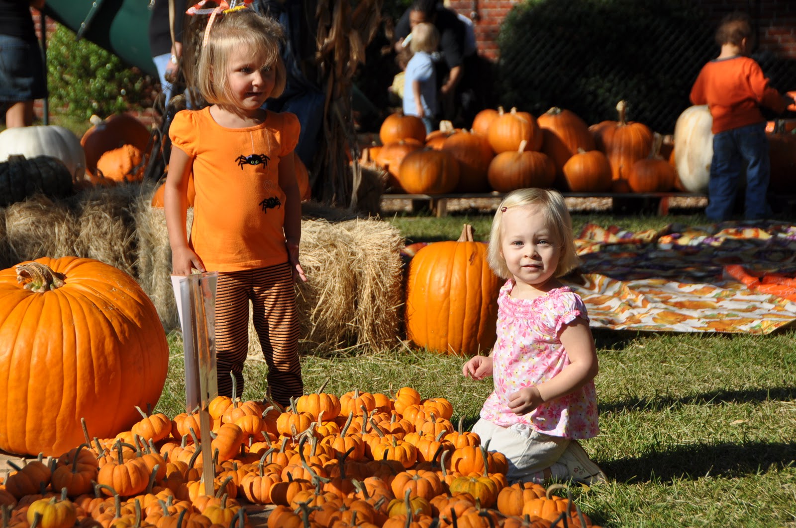 Pink has taken over!: Punkin Patch
