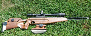 DaveG Custom Stocks: TX200 Field Target Stock