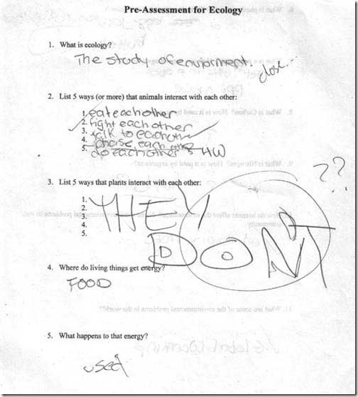 Funny exam papers: Funny Exam Papers