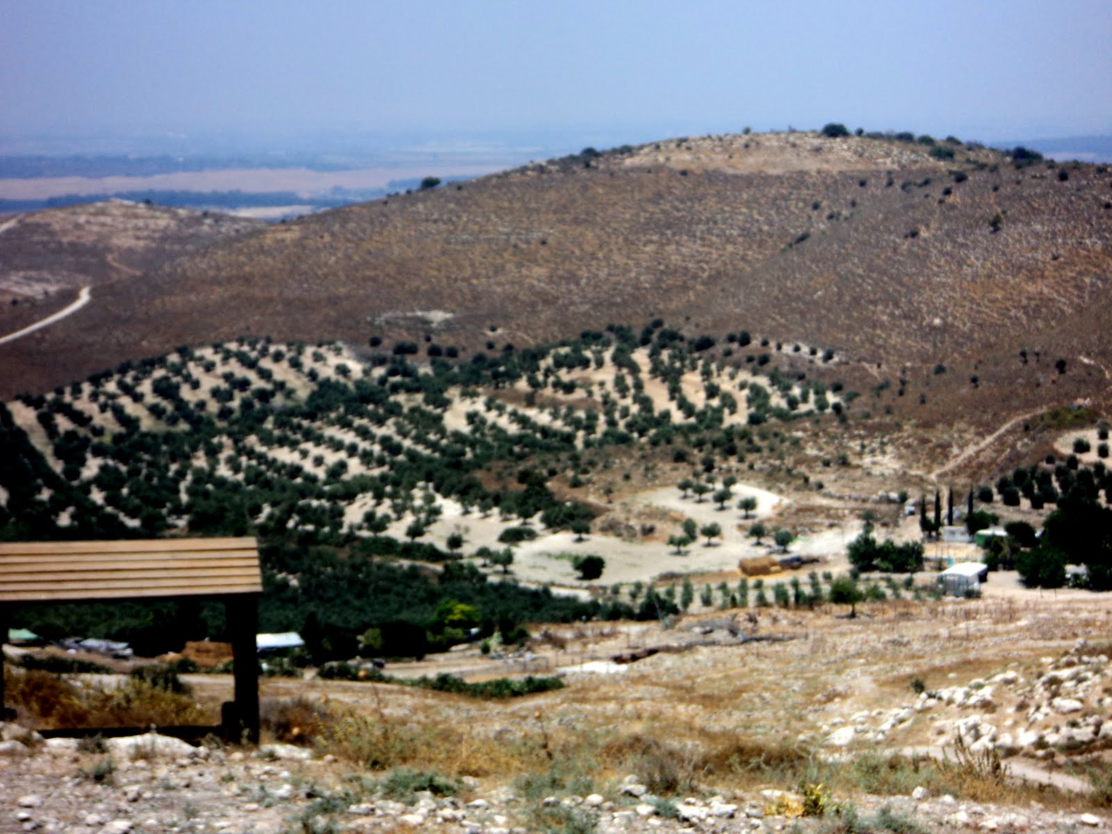 .ALL THINGS ISRAEL.: day1: z'ora [protect your eyes]