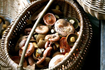 Puhas rõõm: Liivtatikud ja mõõkkala