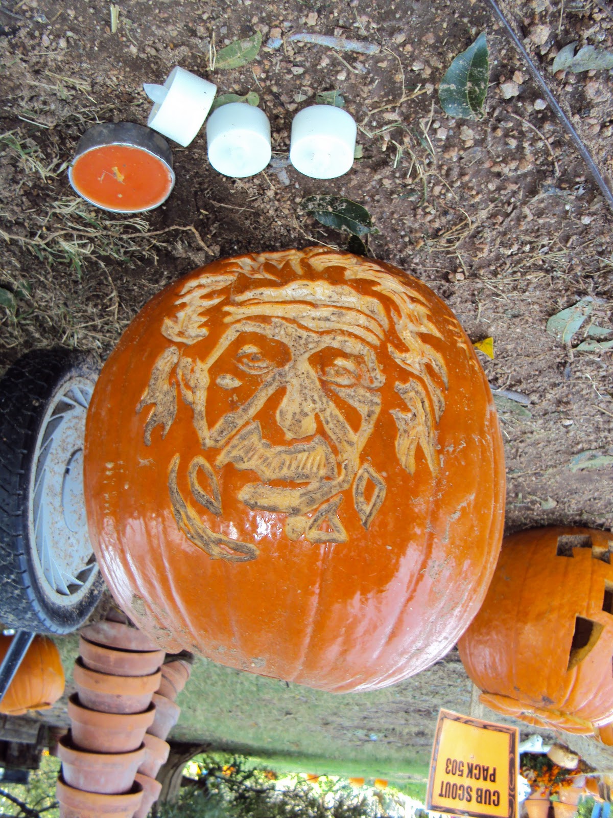 My Strolling Garden: The Pumpkin Trail