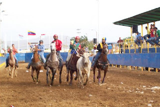 De aquí pa' dónde sugerido por www.demangaenmanga.net: TOROS COLEADOS ...