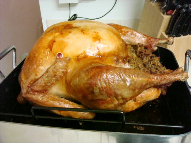 Noah's Miracle : 2010