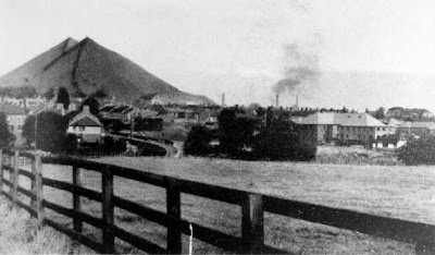 Blooms and Beasties: The Pit Bank