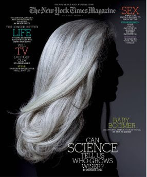 Vector Art: New York Times grabs 2 AIGA Awards for Magazine Covers