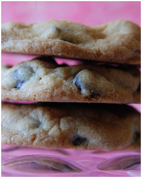Whisk: a food blog: Train Tracks and Chocolate Chip Cookies