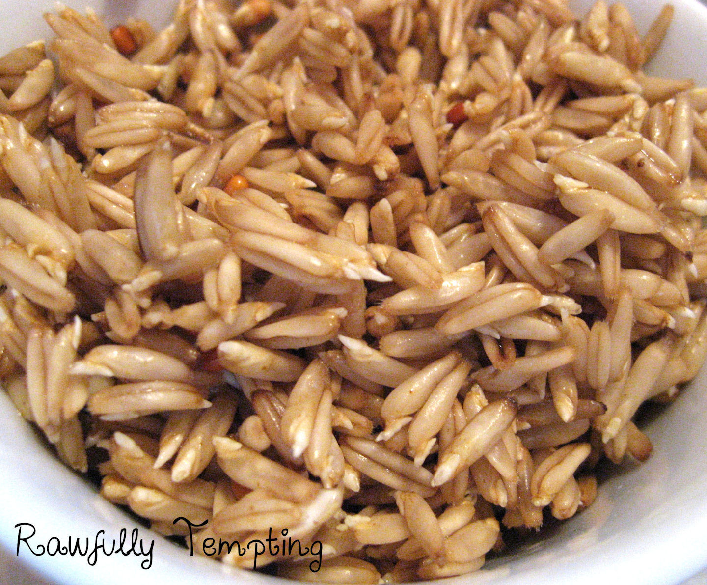 Hulless Oats Sprouted Until Tails Just Start to Form