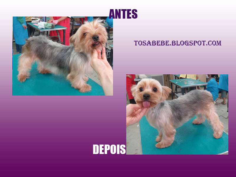 TOSA BEBÊ - TOSA VERÃO - TOSA TESOURA -TOSA PORTO ALEGRE: TOSA BEBÊ ...