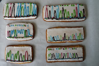 Developing Geneticist: Science cookies