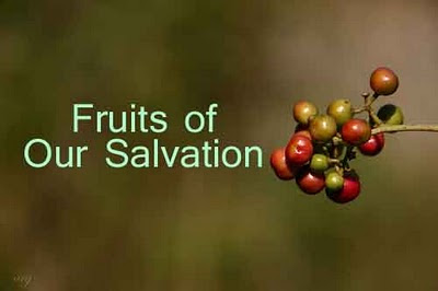 Faith Walk in the 2nd Half: Fruits of Our Salvation