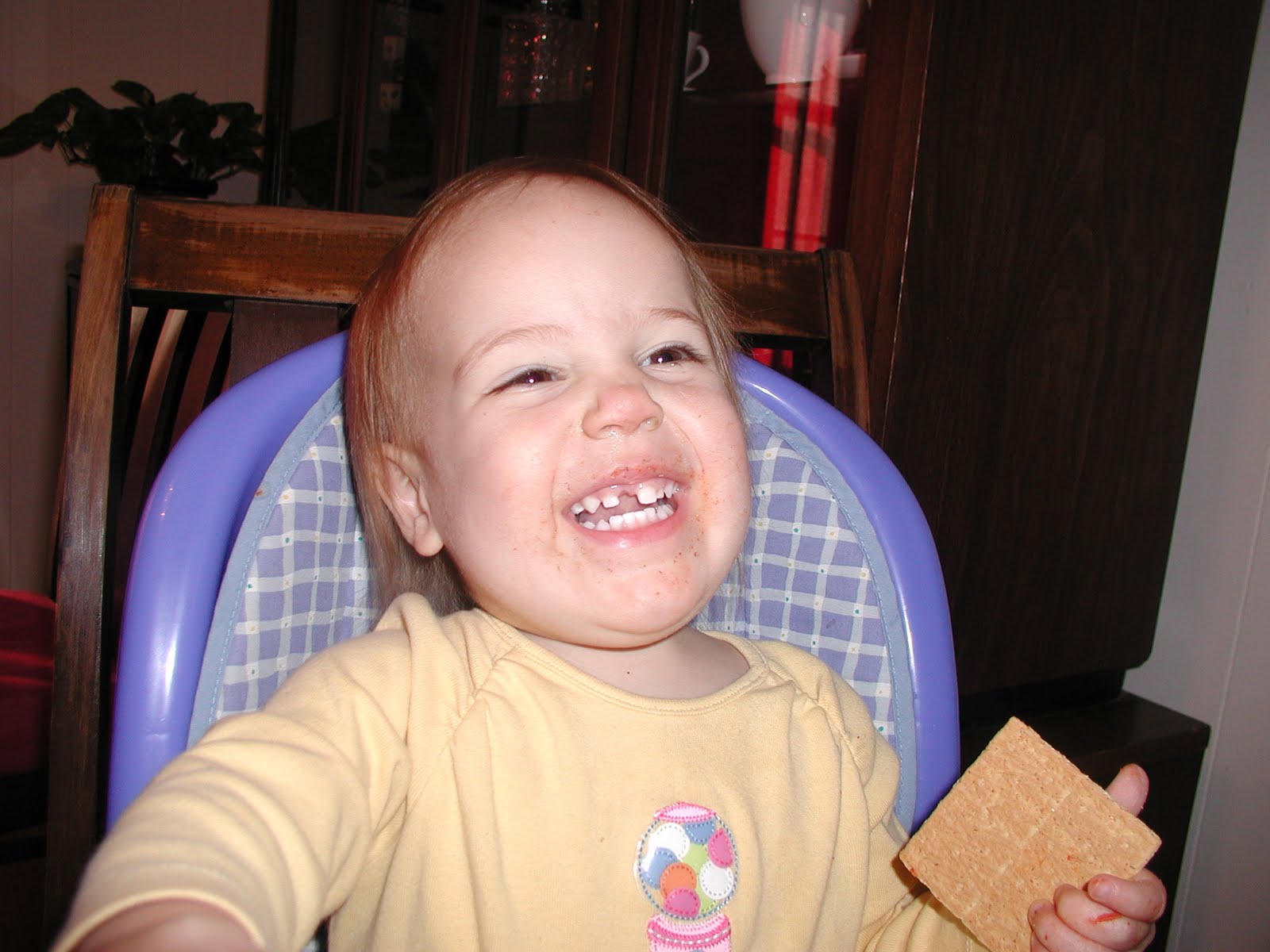 Smith Family Adventures: The story of two front teeth