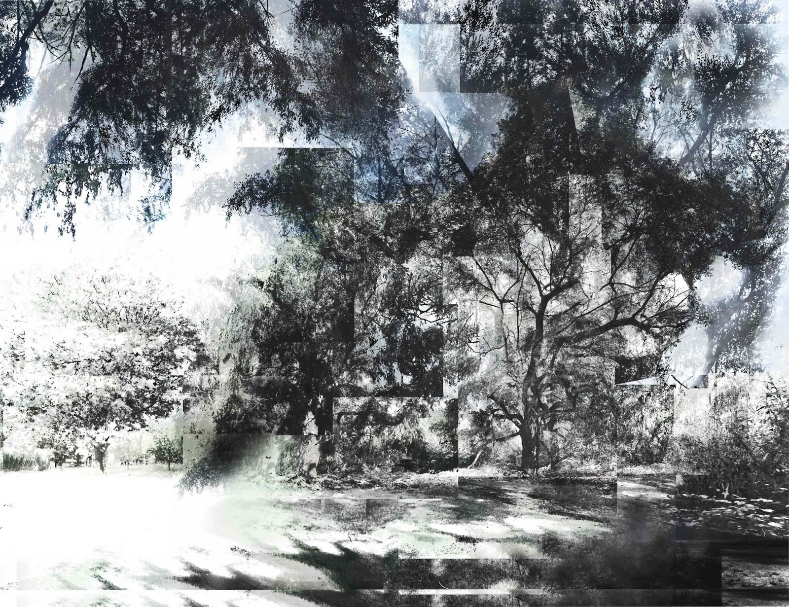 J. Barbato: Collage: Sun and Shadow