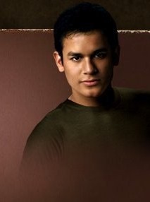 A Saga Crepusculo: Conhecendo um pouco mais os lobos