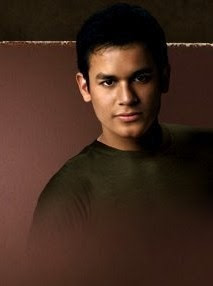 A Saga Crepusculo: Conhecendo um pouco mais os lobos