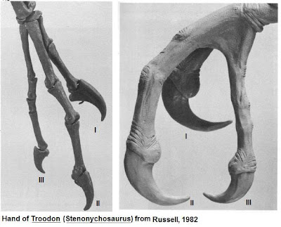 Theropoda: Miti e Leggende Post-moderne sui Theropodi Mesozoici ...