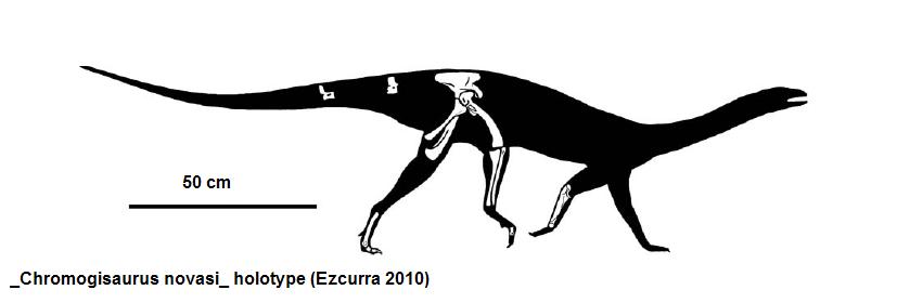 Theropoda: _Chromogisaurus novasi_ Ezcurra (2010) ed il destino di ...