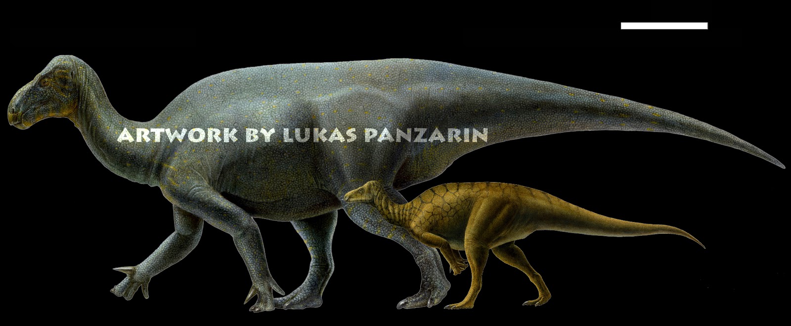 Theropoda: Benvenuti, HIPPODRACO SCUTODENS e IGUANACOLOSSUS FORTIS ...