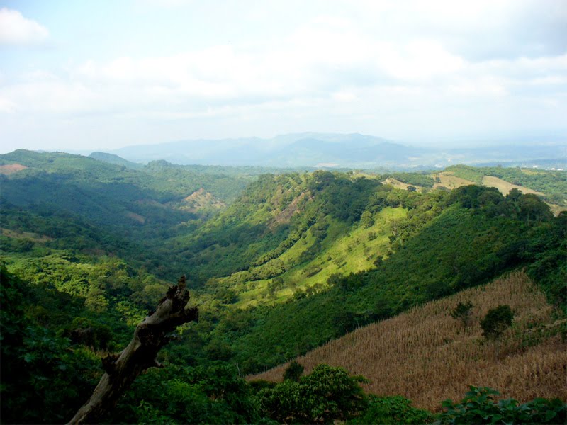 CHICONTEPEC: ZONA GEOGRAFICA