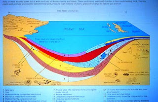 Cekungan sedimentasi