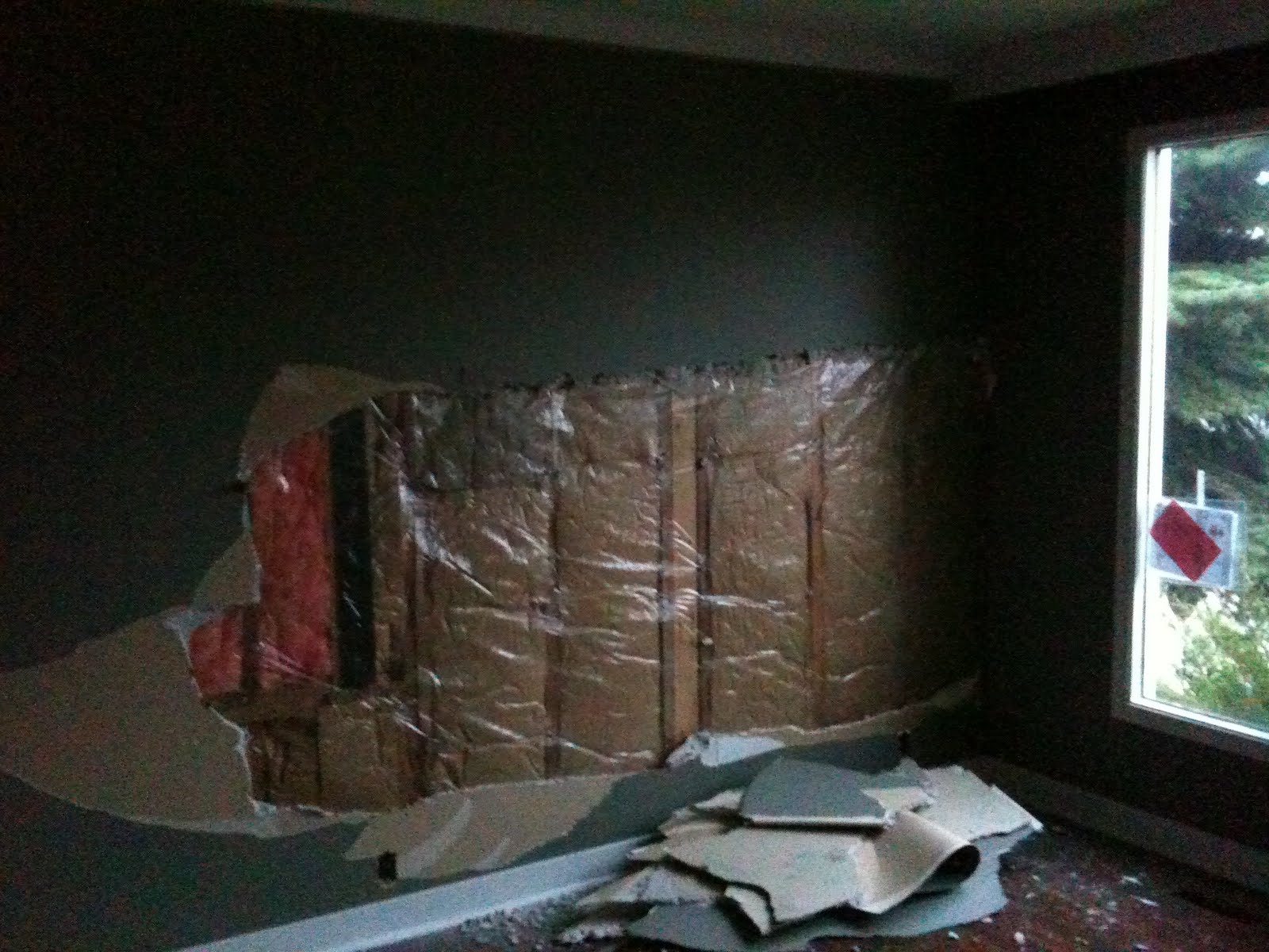 .: Interior House Demolition