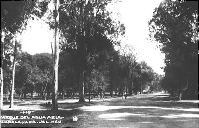 GUADALAJARA DE AYER: Parque Agua Azul