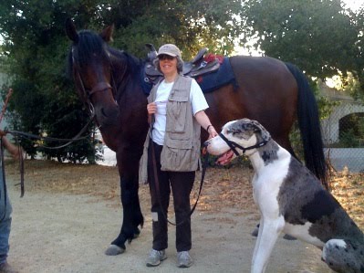 My Great Dane Princeton: Great Dane meets horse