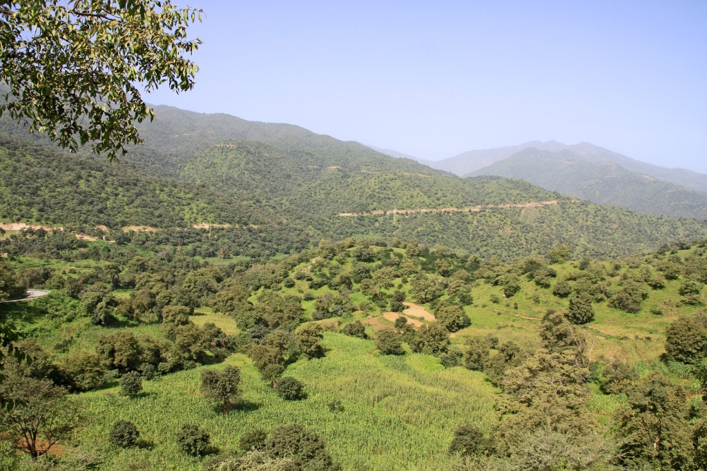 Photos of Eritrea's Landscape - Madote