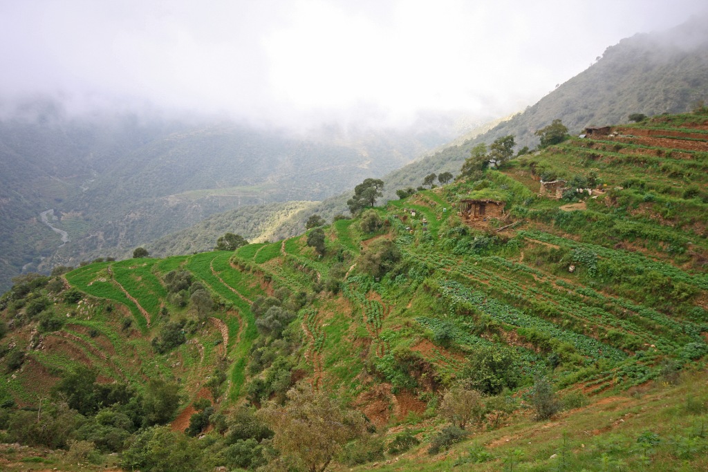 Photos of Eritrea's Landscape - Madote
