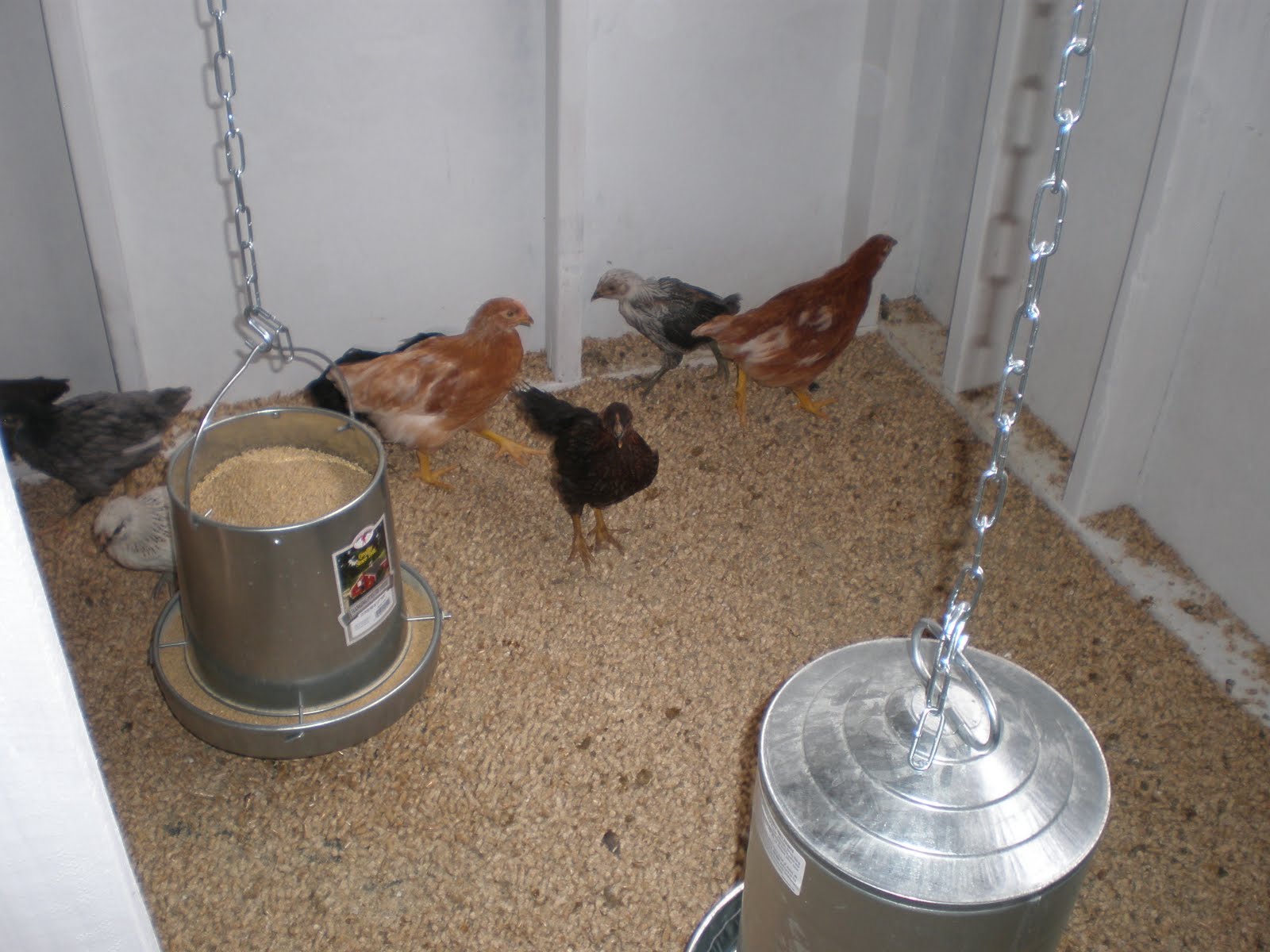 Life on and around Matrix Compound and its Owners