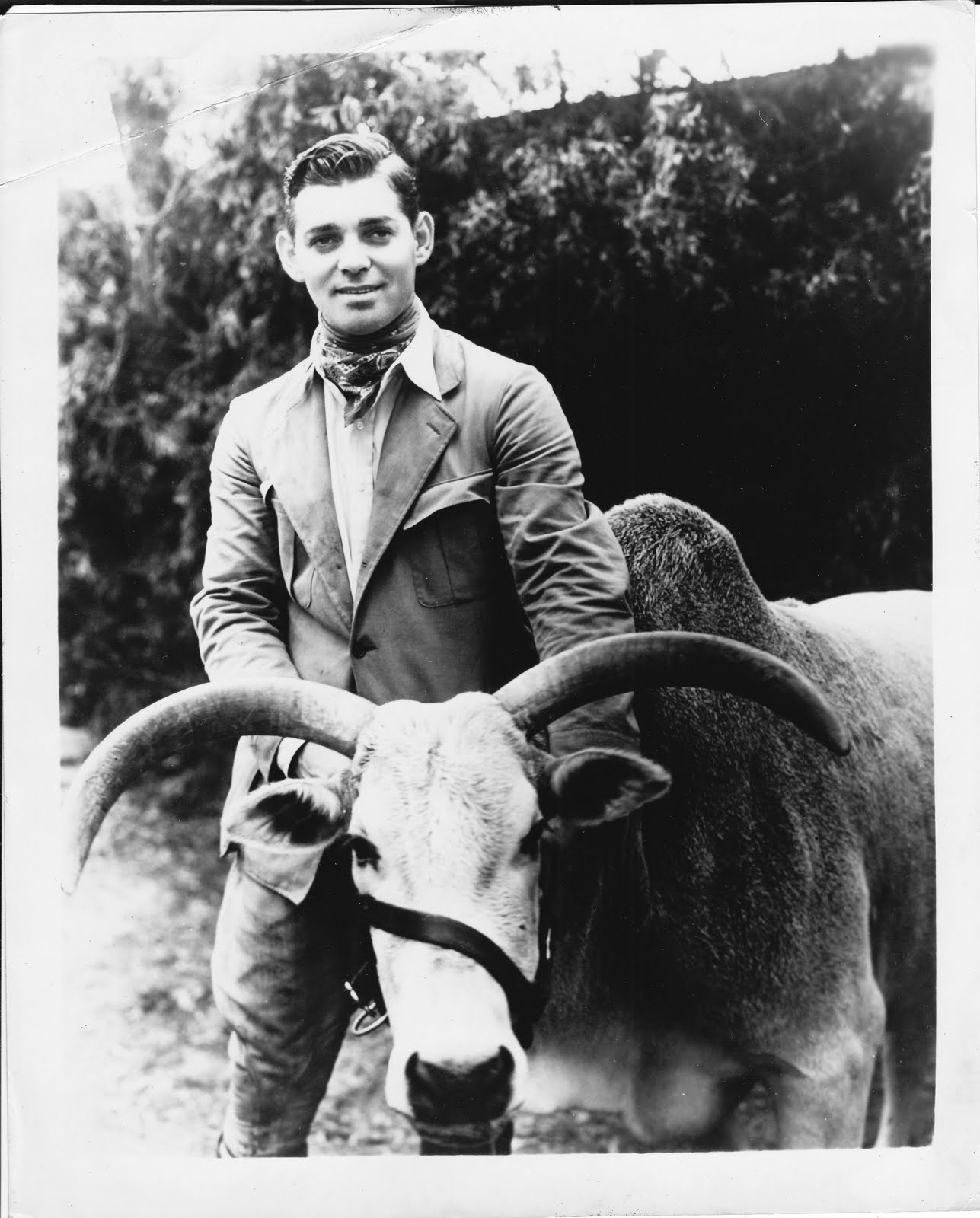 Gable: The Ties That Bind: October 2010