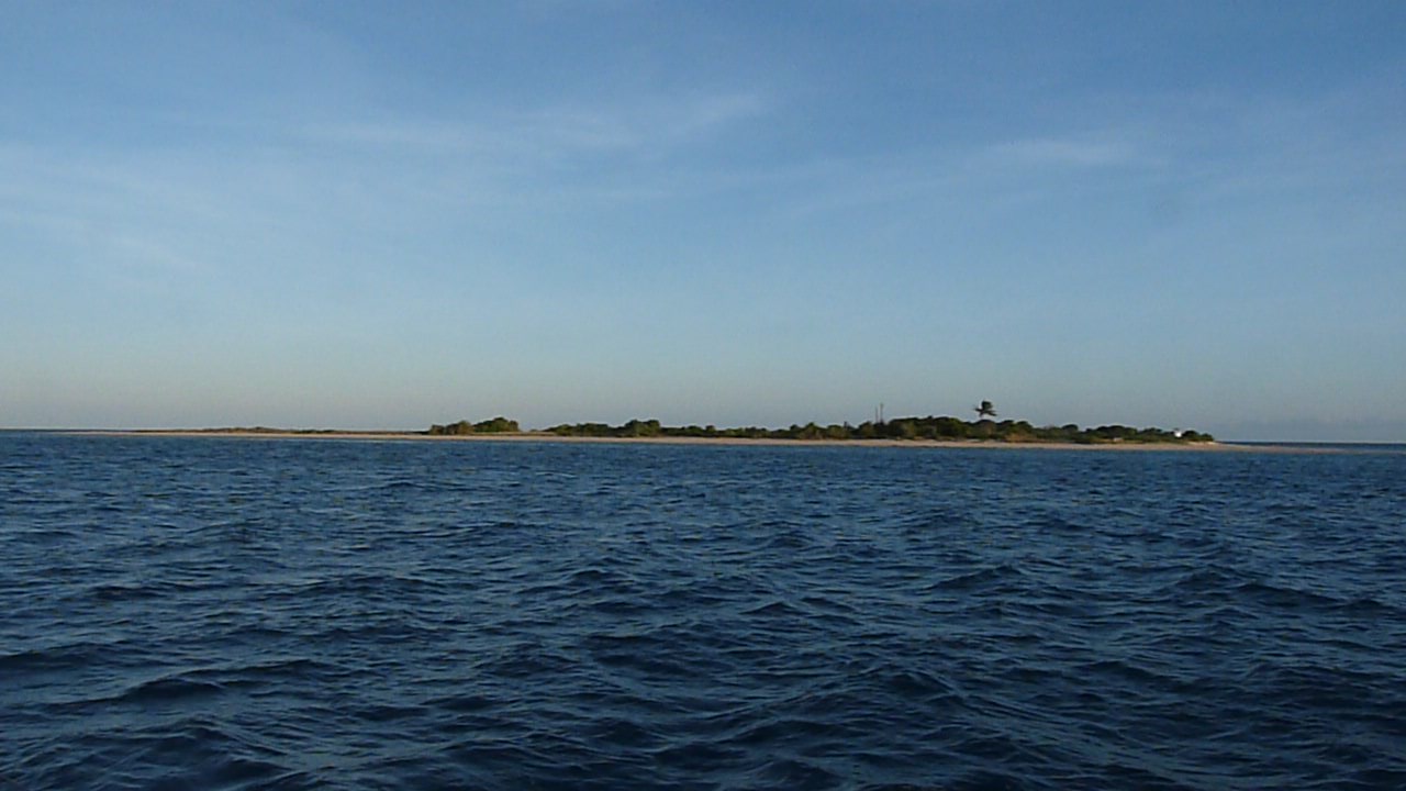 COGNAC SAILING: Fifi Island-delayed due to network coverage