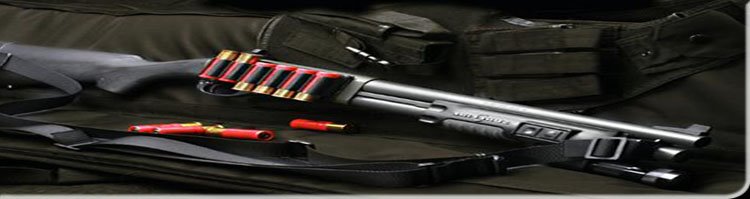 What gun U need?: Korriphila HSP-701 pistol (Germany)