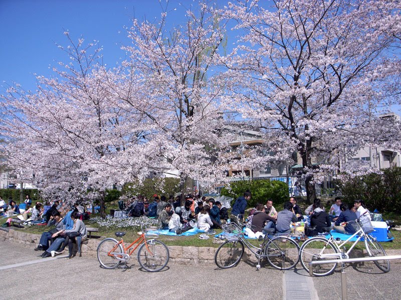 5 Things To Try For A Better Hanami Experience | Japan Tidbits