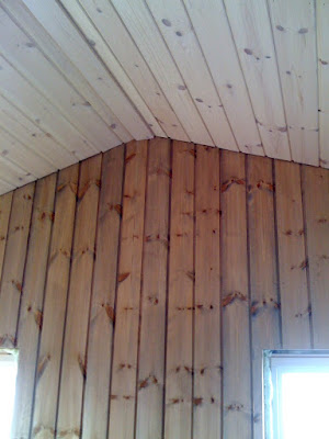 Grønne inneplanter: Panellakk drivved