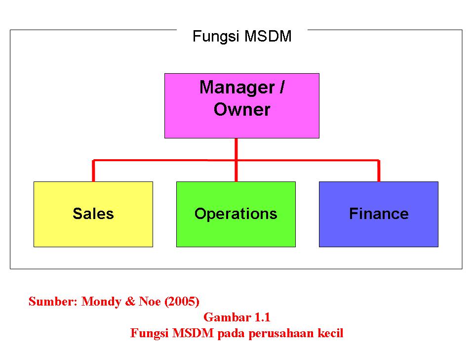 MSDM: STRUKTUR FUNGSI-FUNGSI MSDM