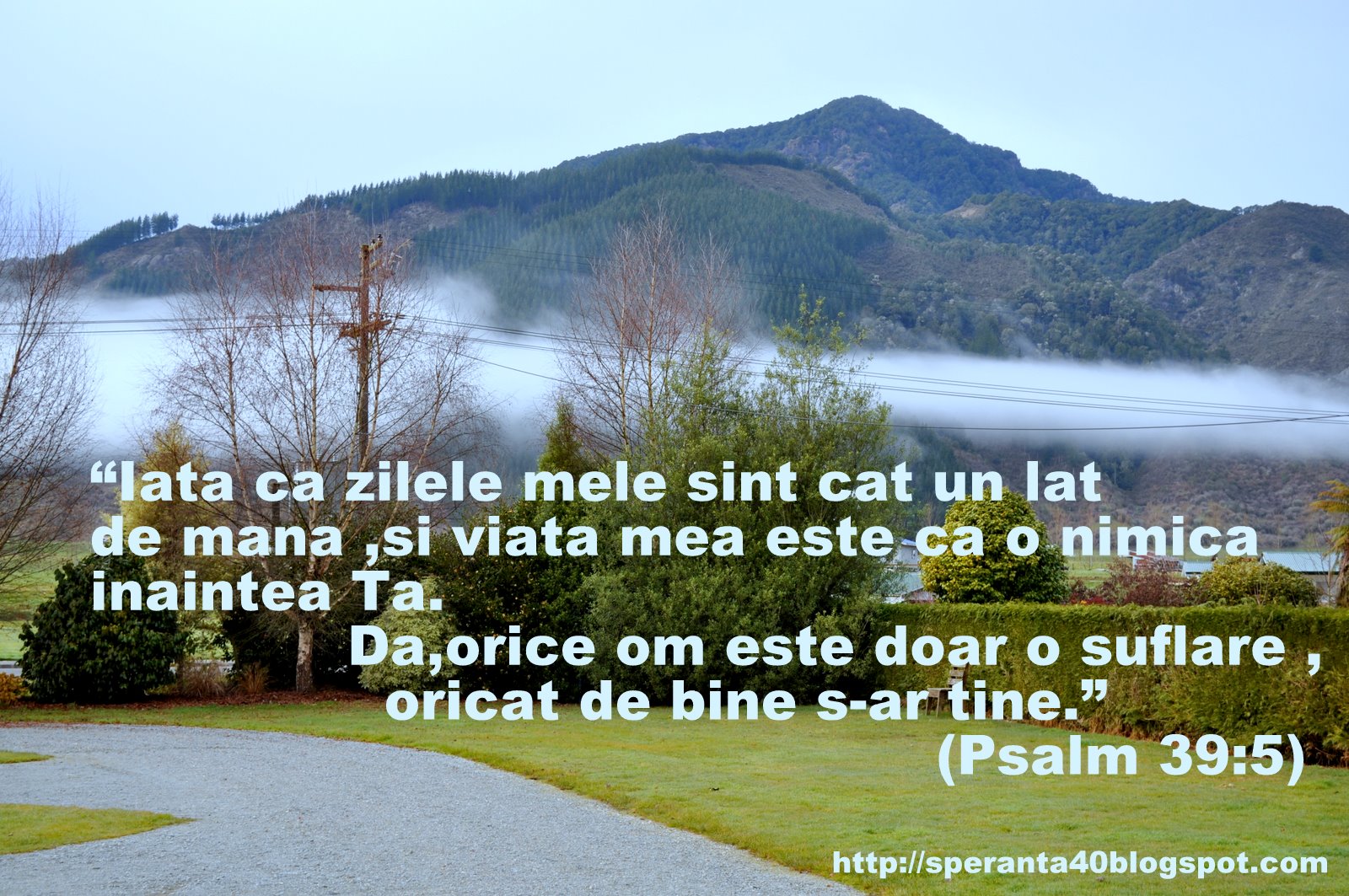Speranta: LA SFARSIT DE AN