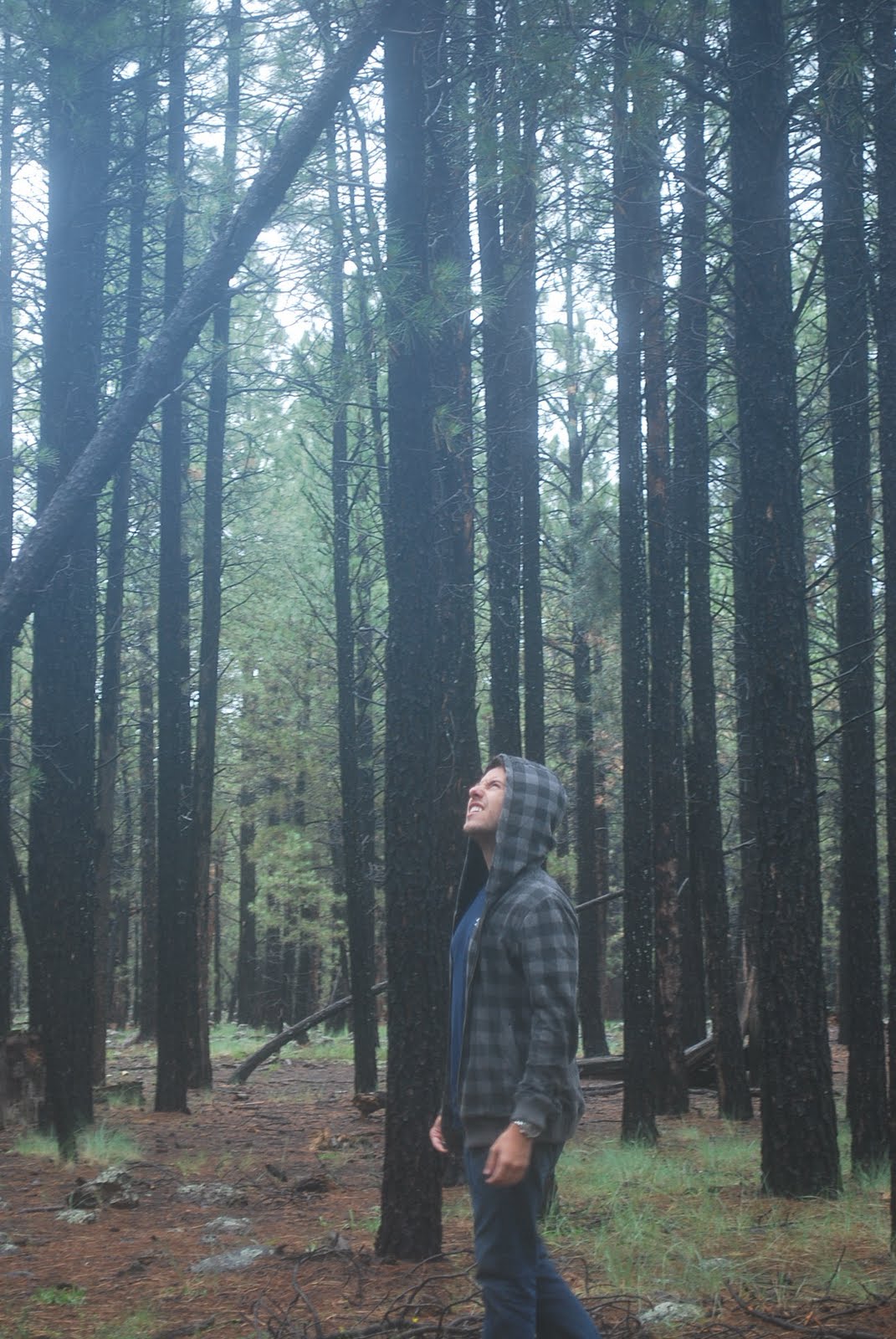 Shardae's Travel and Photographs