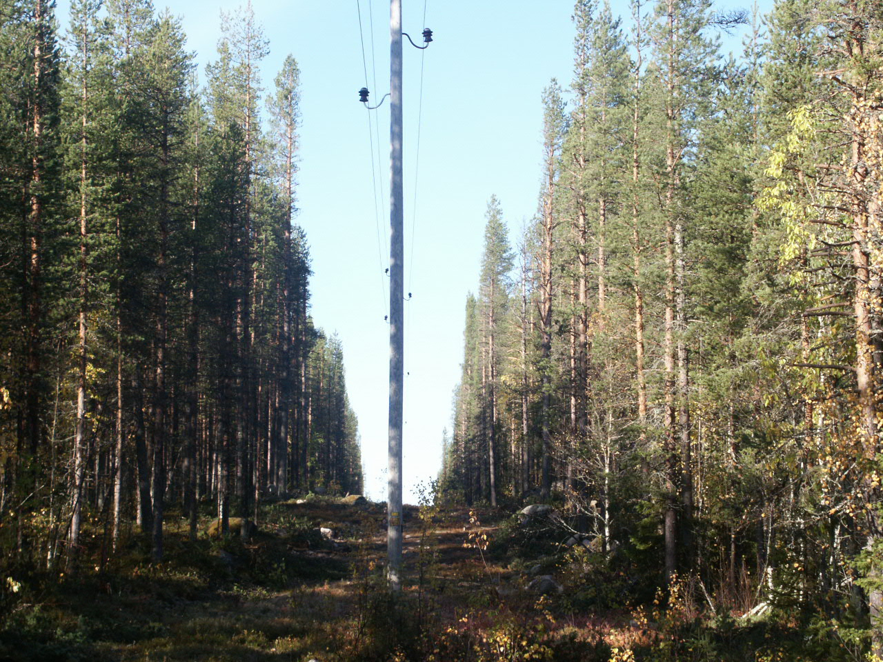 Mikael Styrmans blog: Oisolerade luftledningar ./. belagda ledningar ...