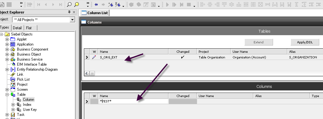 HelloSiebelWorld: How to Create Siebel Like custom Tables (S_*) or ...
