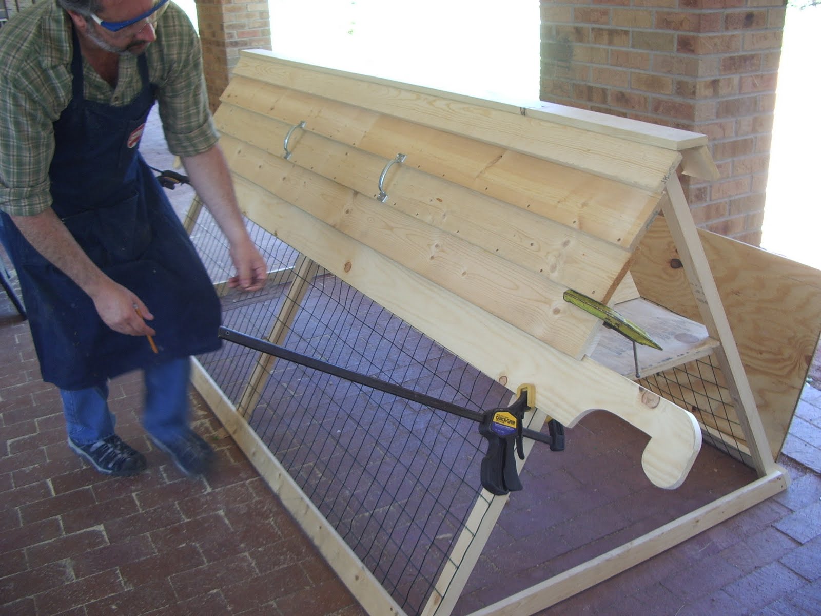 Academy's Spring Chickens: The Chicken Arc begins