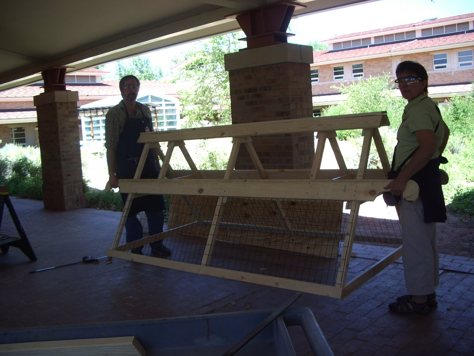 Academy's Spring Chickens: The Chicken Arc begins