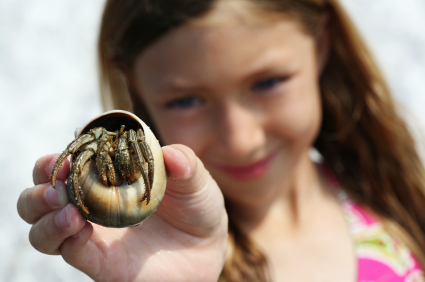 Food Allergy Buzz: Shellfish Allergies at the Beach