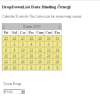 ASP.NET C#: DropDownList Kontrolu